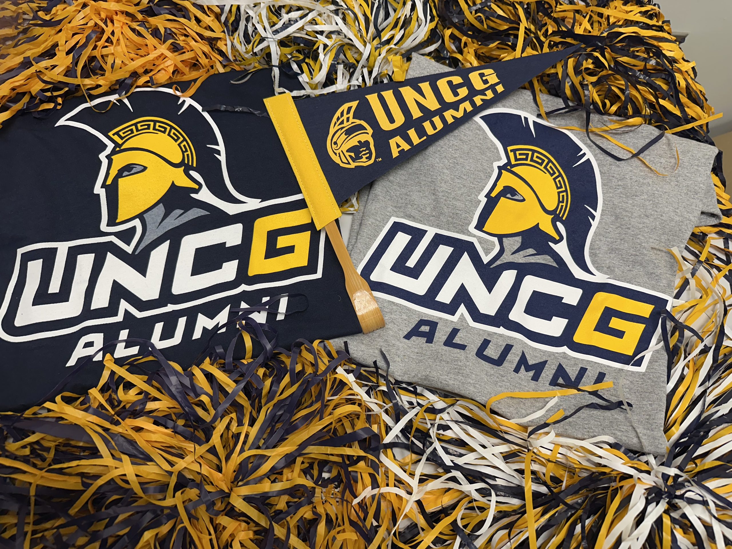 Alumni - Career & Professional Development